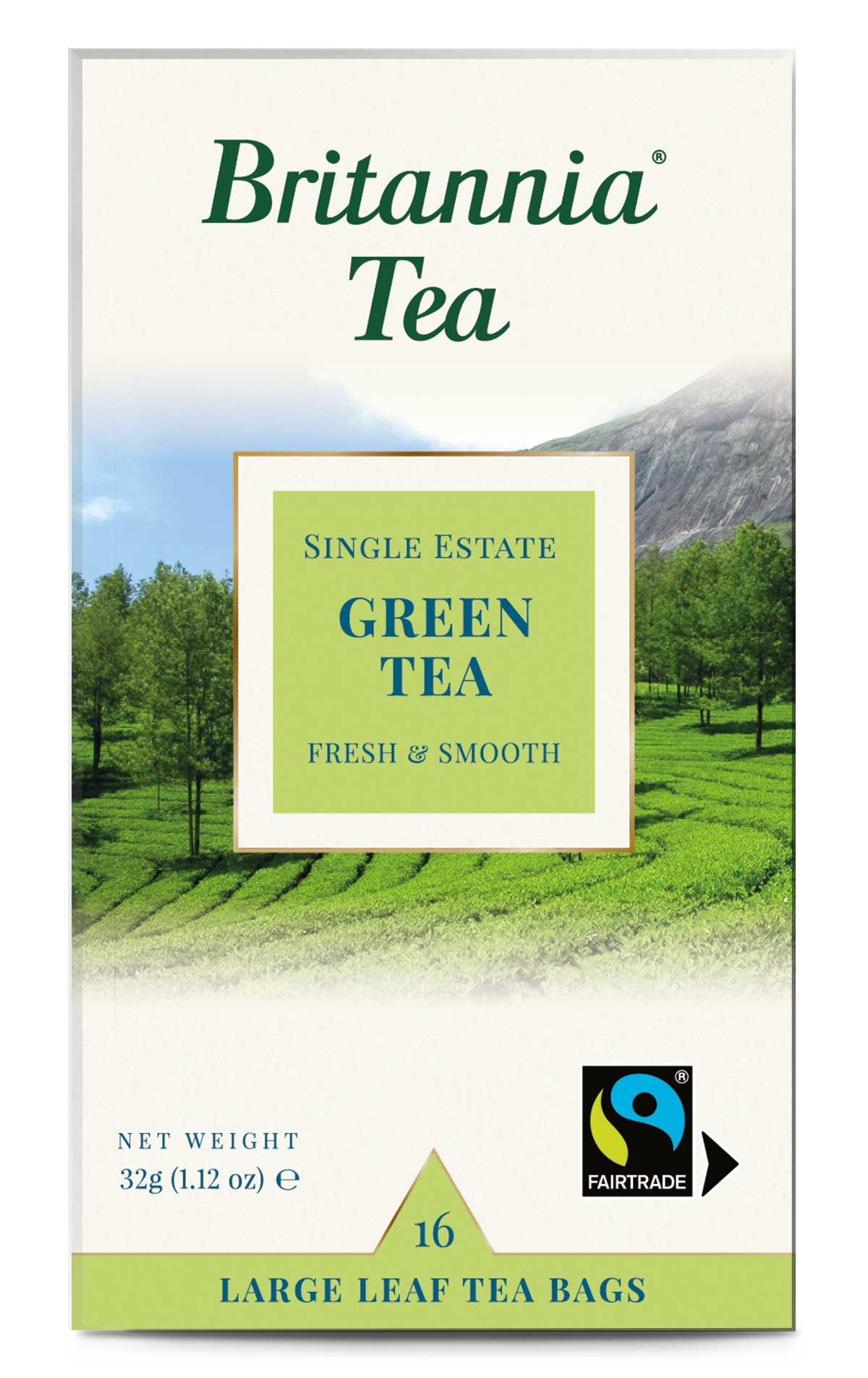 Green Tea Pyramids - Britannia Tea